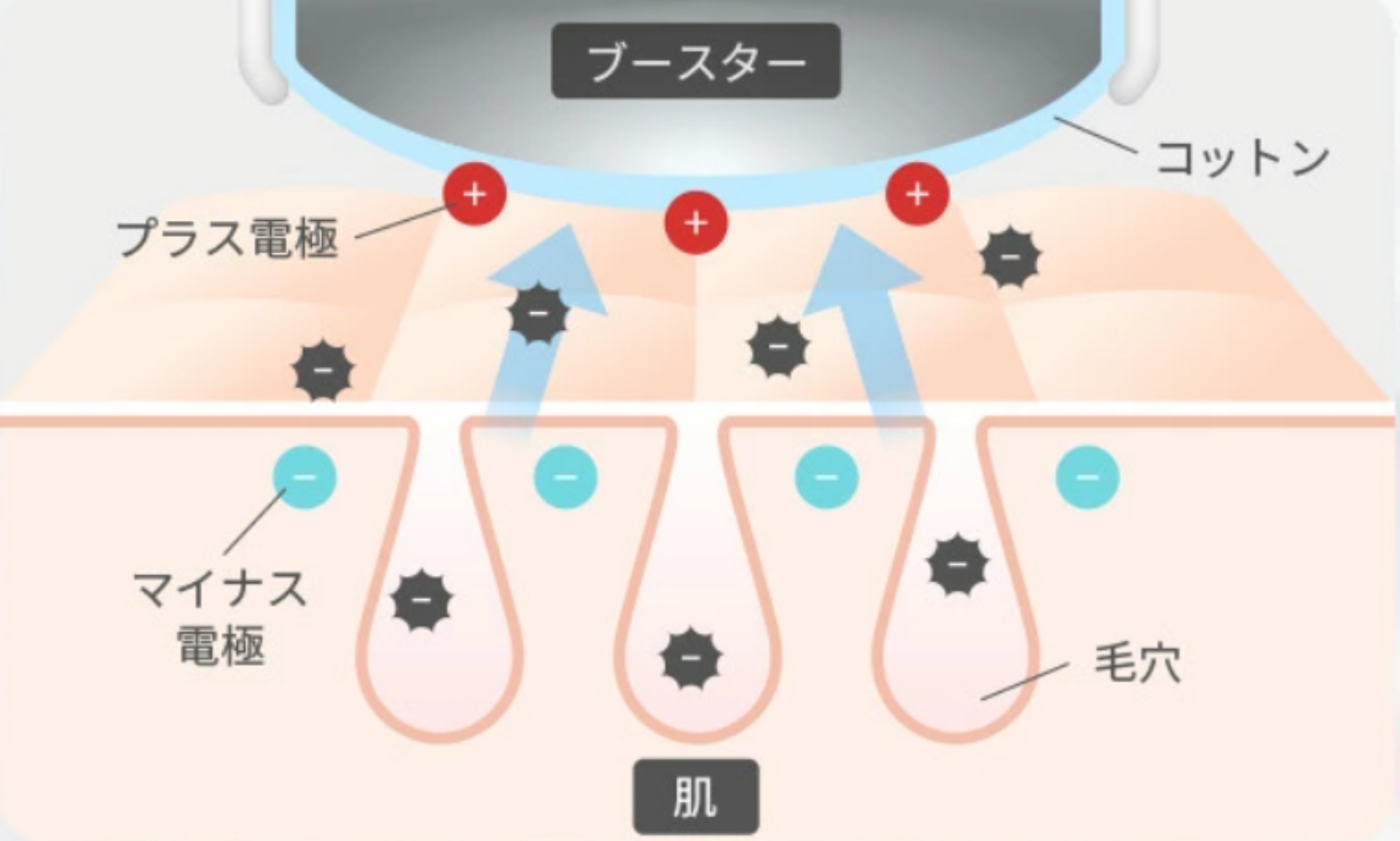 【口コミ】効果ない？ビフェル(BiFeL)導入出美顔器とGFSマスクを徹底解説！